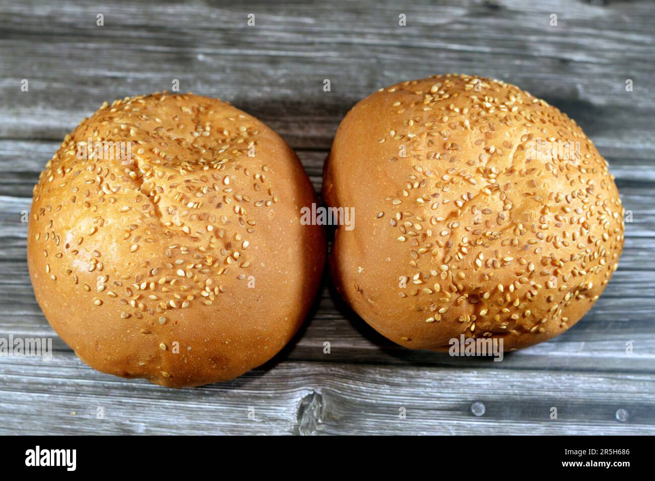 Round hand sized hamburger burger bun baked and covered with sesame ...