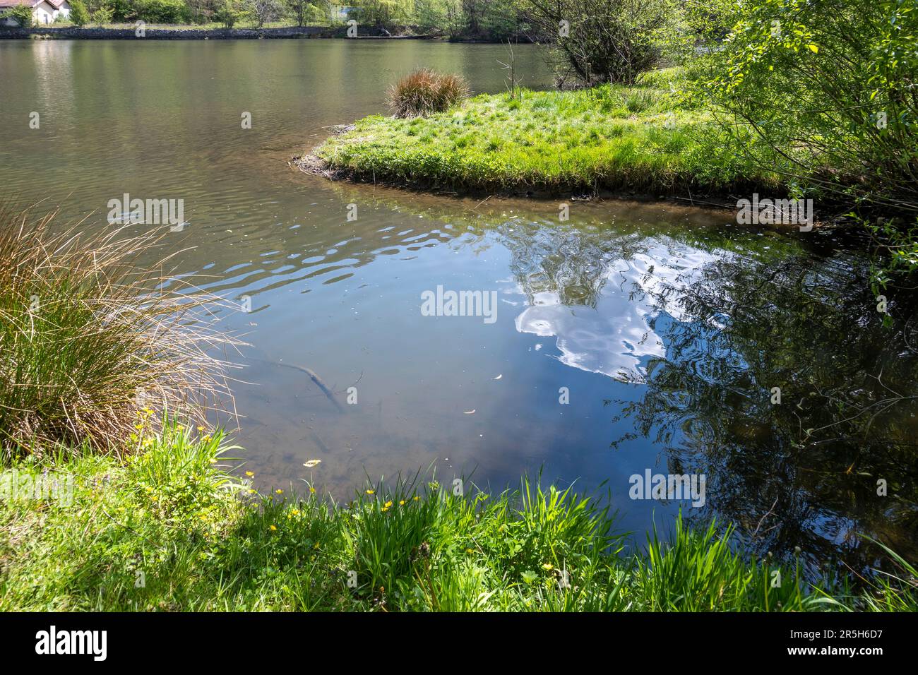 Spring Landscape of Pancharevo lake, Sofia city Region, Bulgaria Stock ...
