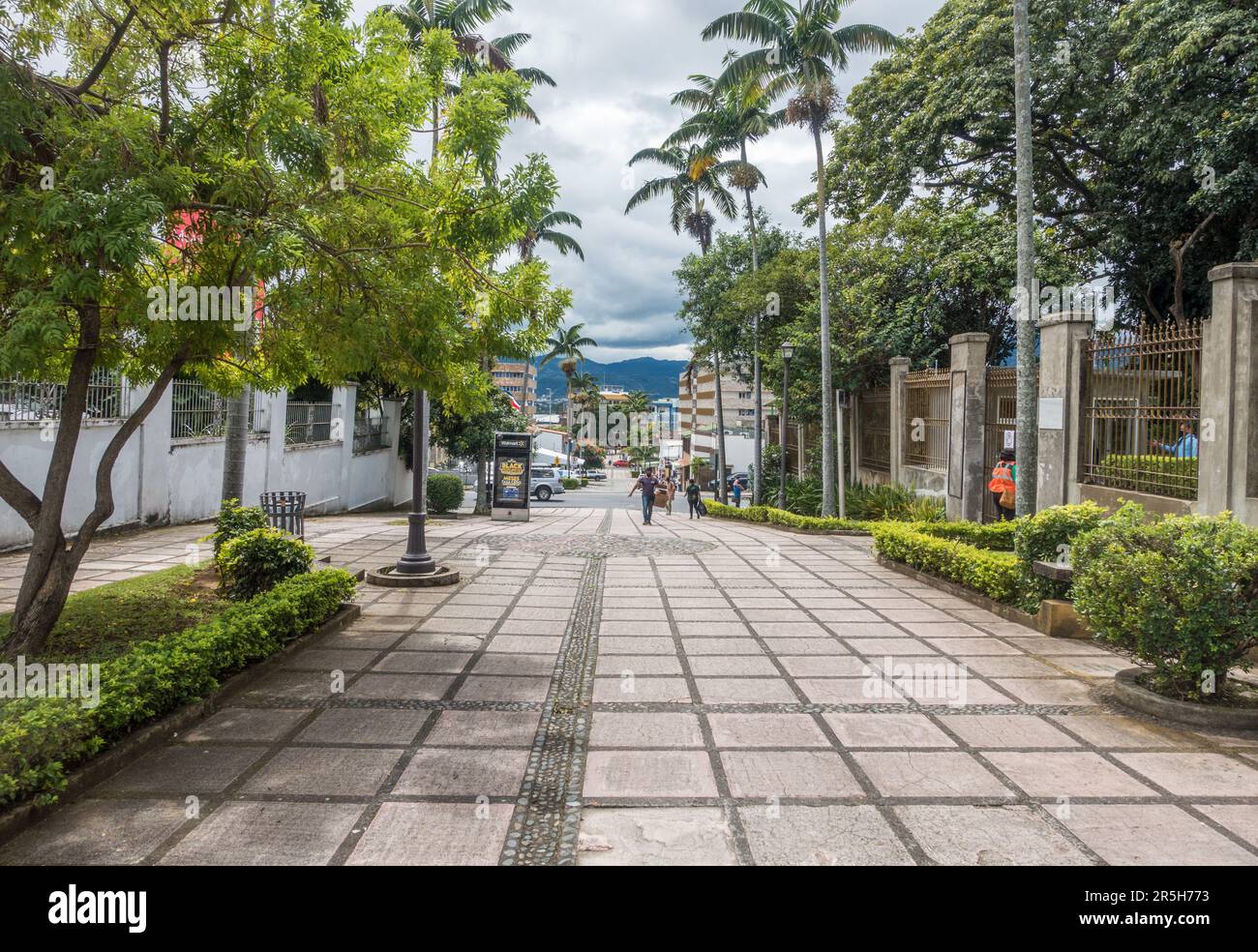 Tree lined pedestrian street in San José, Costa Rica Stock Photo - Alamy