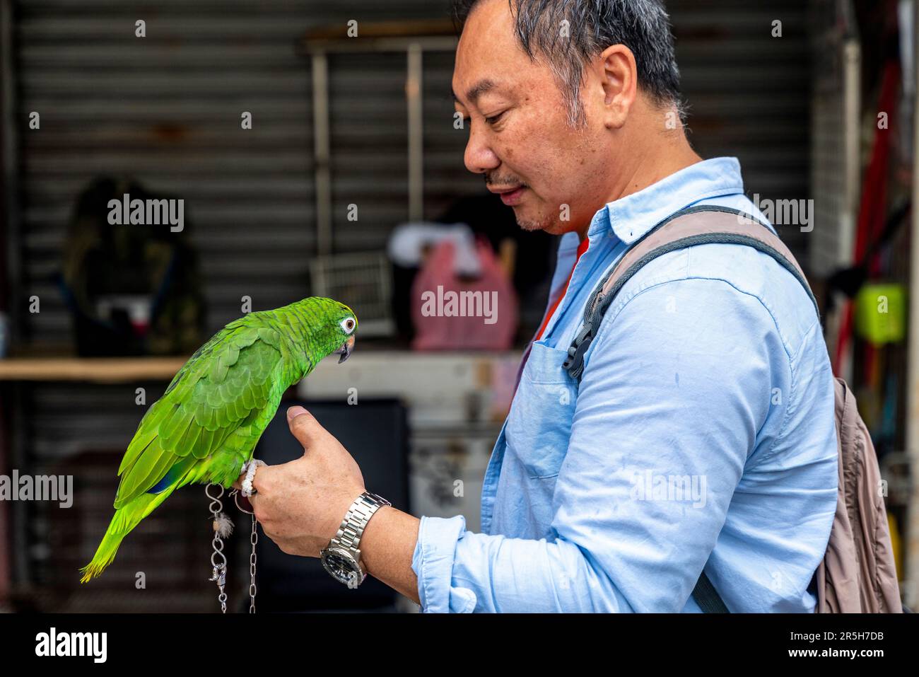 A Man Selling An Exotic Green Bird At The Hong Kong Bird Market (Yuen ...