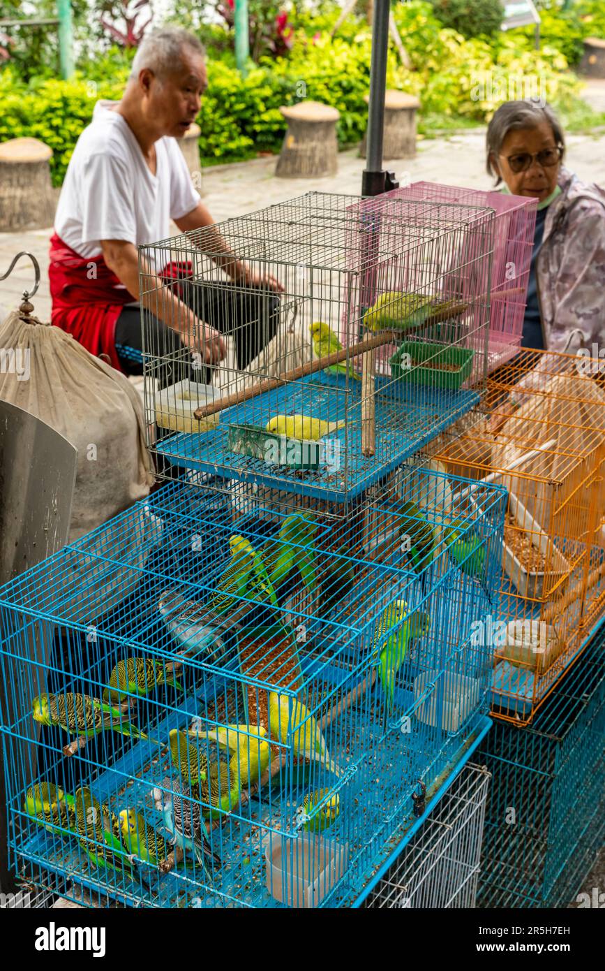 Colourful Exotic Birds For Sale At The Hong Kong Bird Market (Yuen Po ...