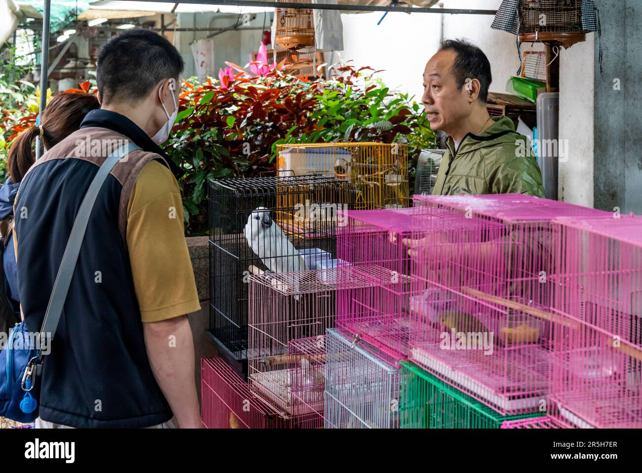 Hong Kong Bird Market (Yuen Po Street Bird Market), Kowloon, Hong Kong ...