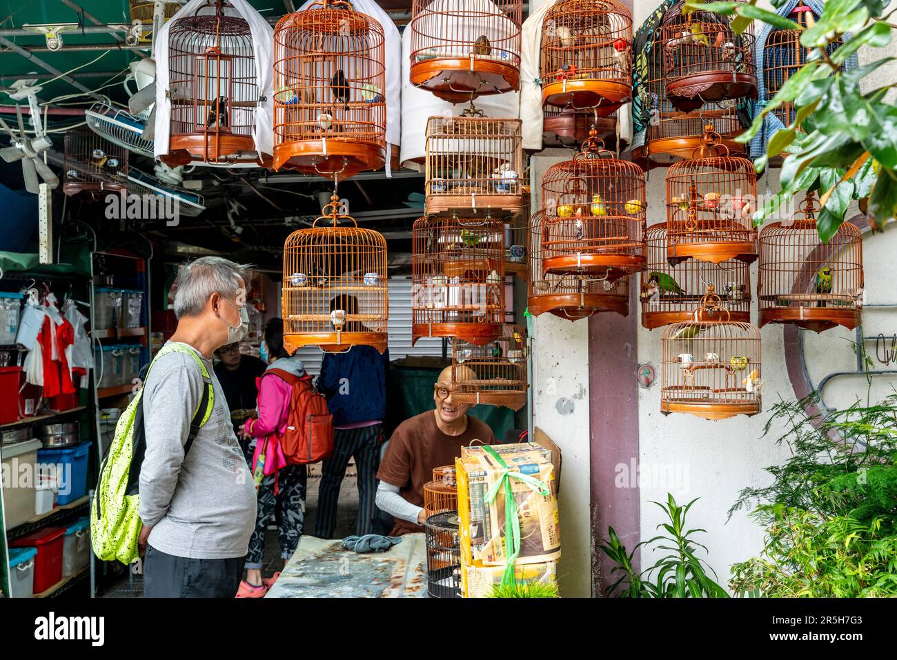 Exotic Birds For Sale At The Hong Kong Bird Market (Yuen Po Street Bird ...