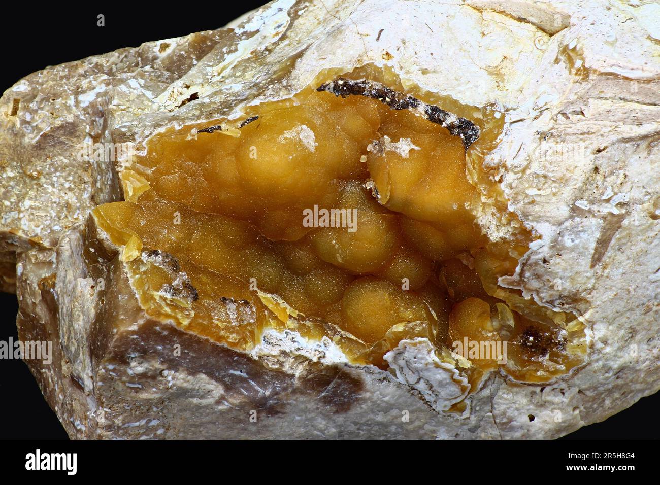 Nodular sintered chalcedony of deep yellow color in flint rock Stock ...