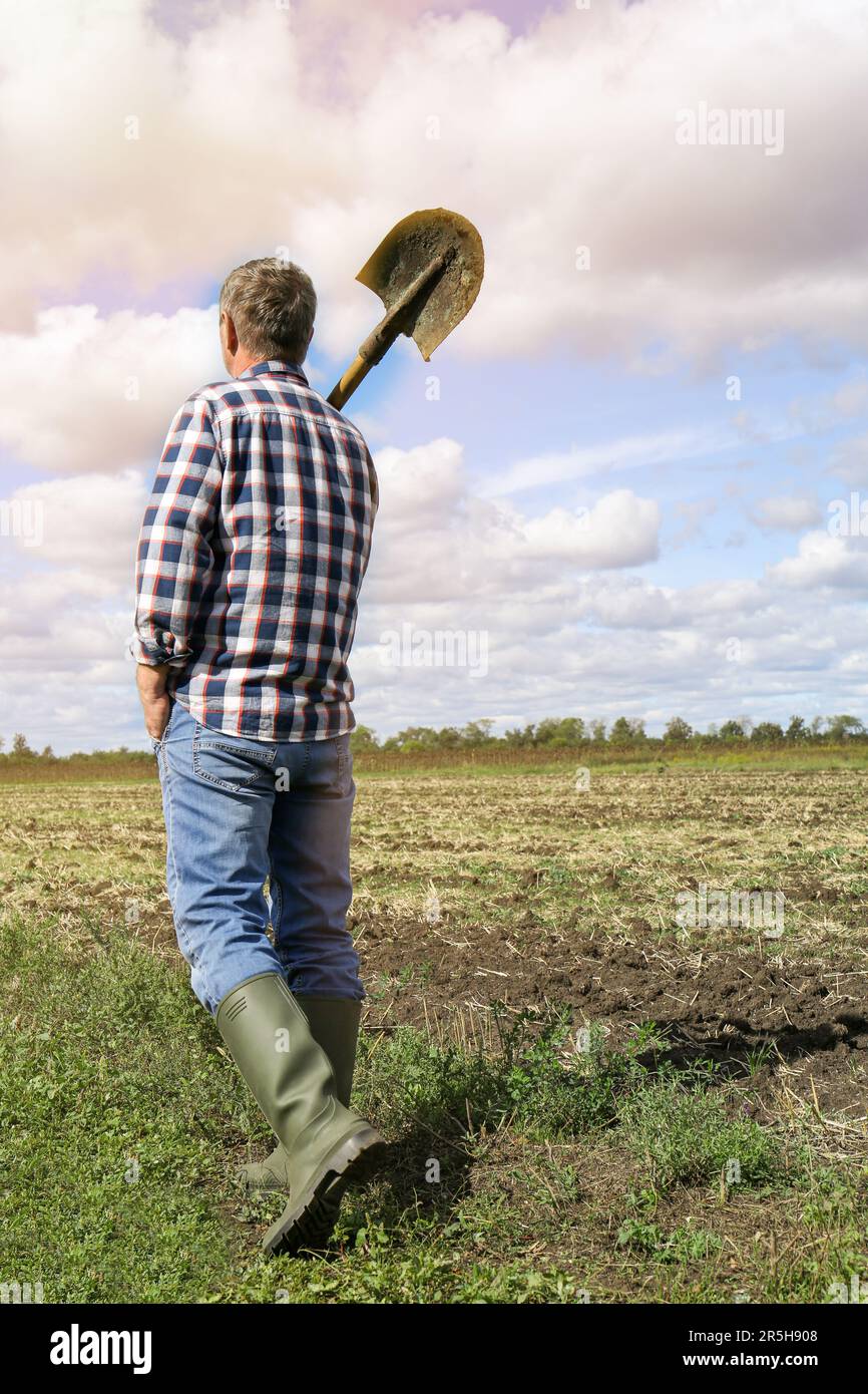Man holding shovel in field, back view. Digging process Stock Photo - Alamy