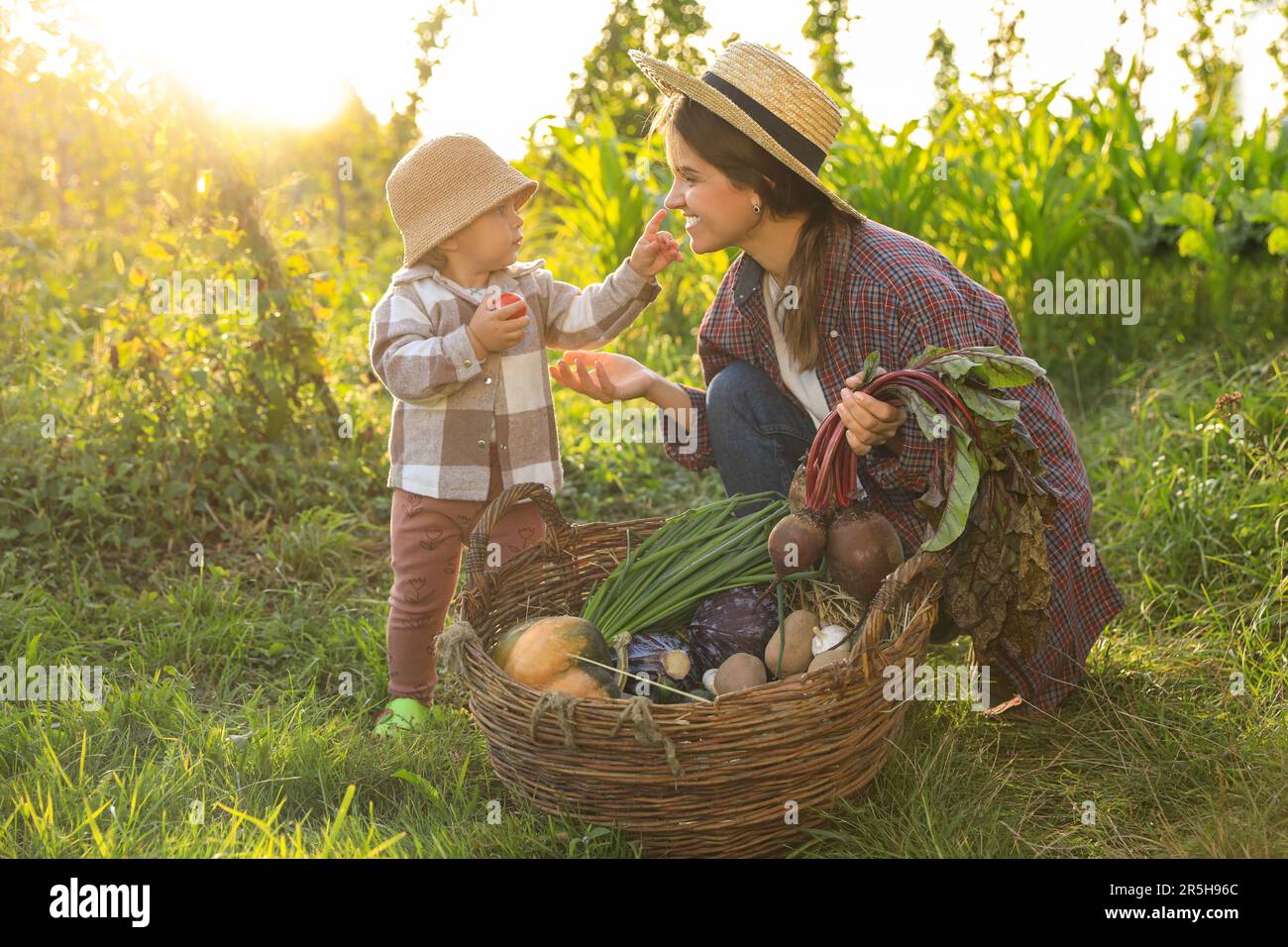 Mother and daughter harvesting different fresh ripe vegetables on farm ...