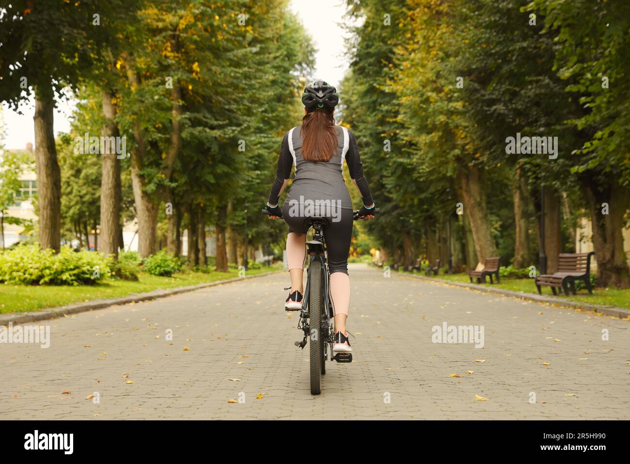 Woman riding bicycle on road outdoors, back view Stock Photo - Alamy