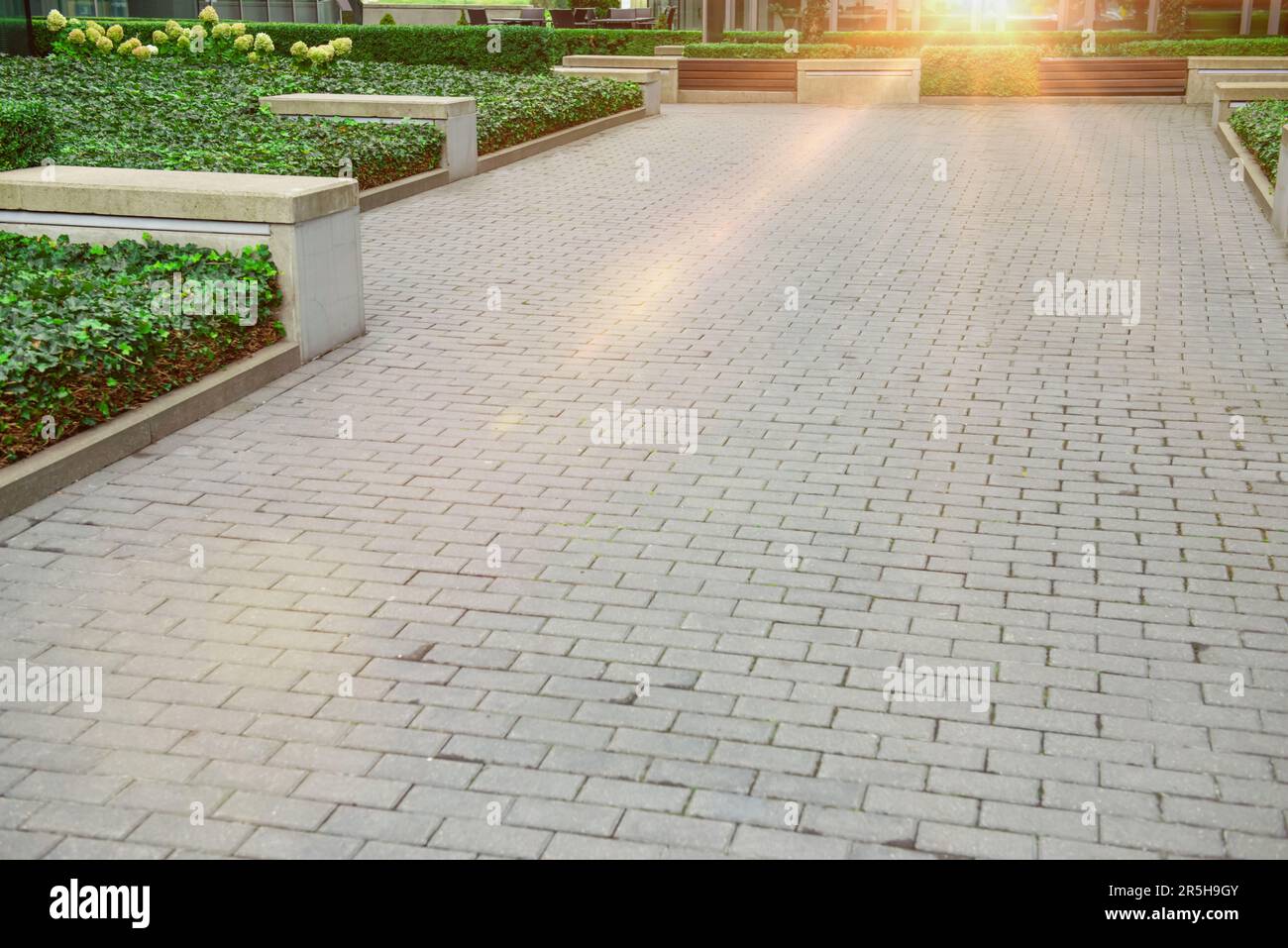 Grey sidewalk near bench and plants in park. Footpath covering Stock ...