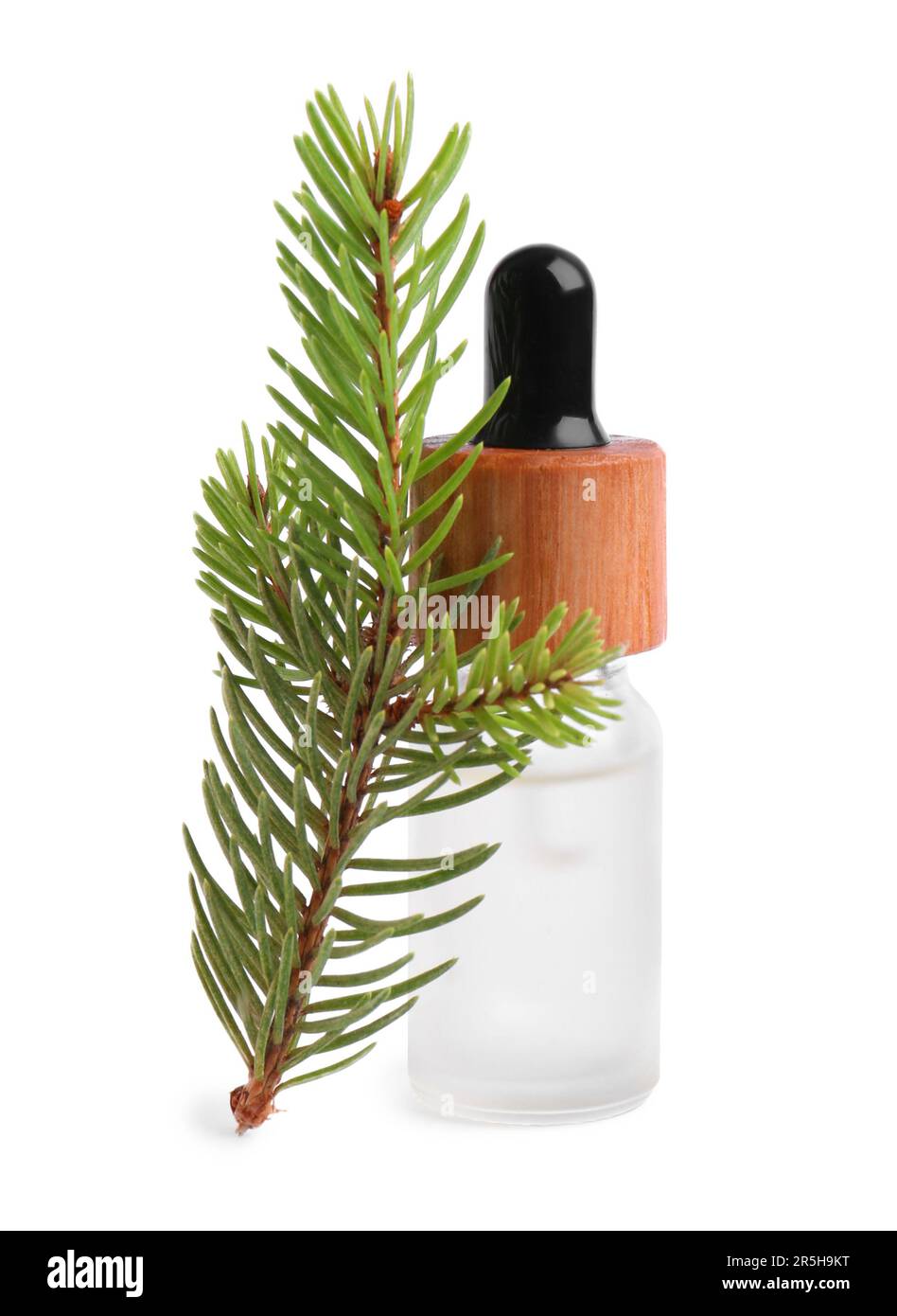 Bottle of pine essential oil and tree branch on white background Stock ...