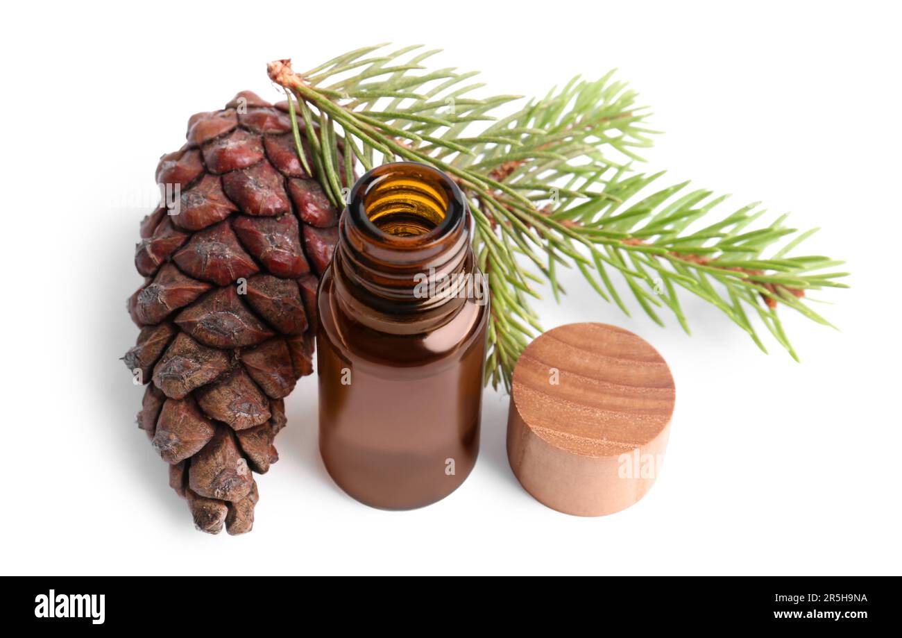 Bottle of pine essential oil, tree branch and cone on white background ...