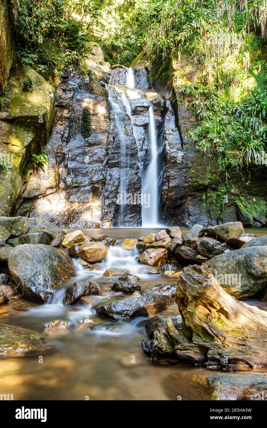 Brazil waterfall flower hi-res stock photography and images - Alamy