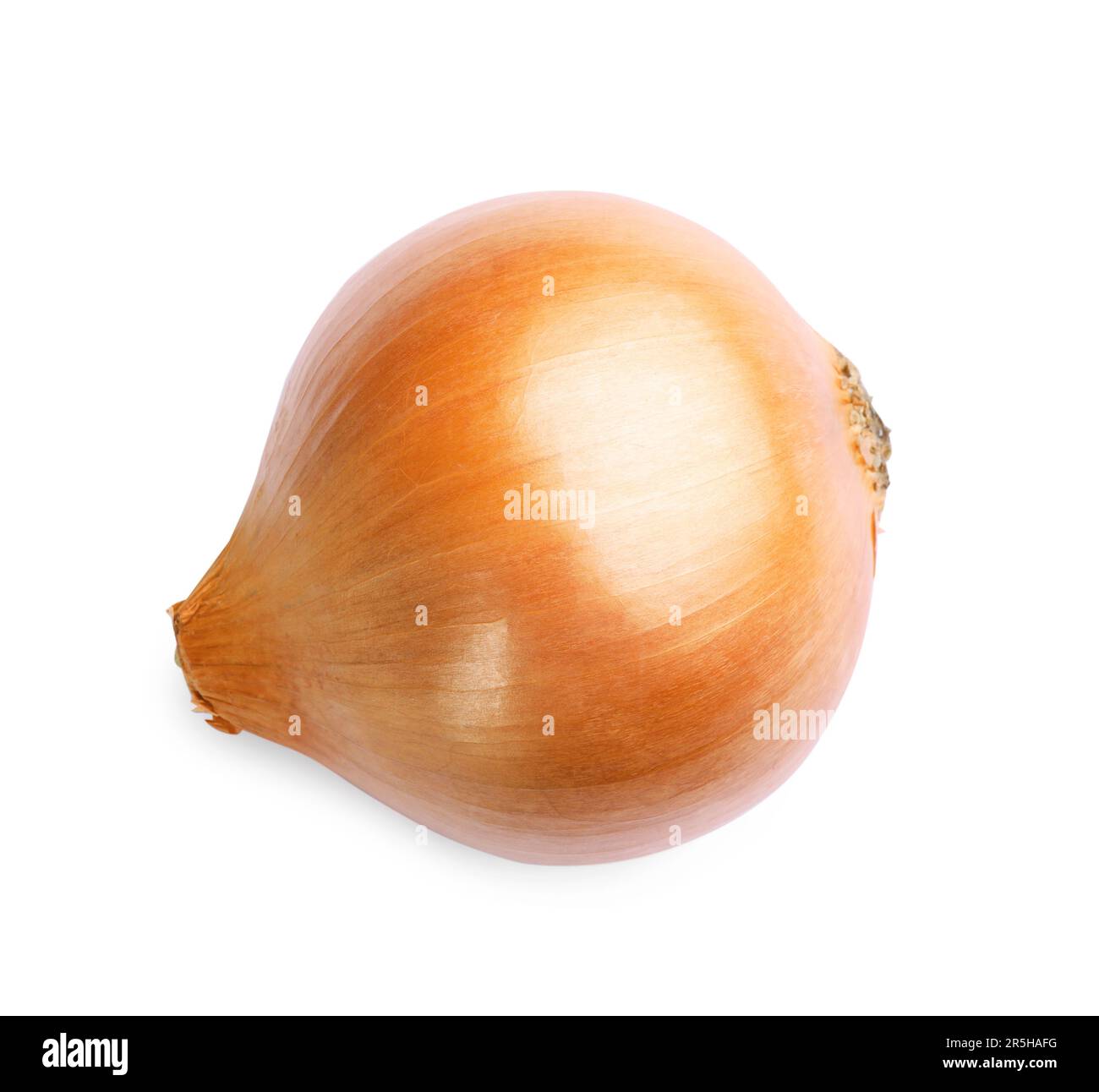 One yellow fresh onion isolated on white, top view Stock Photo - Alamy