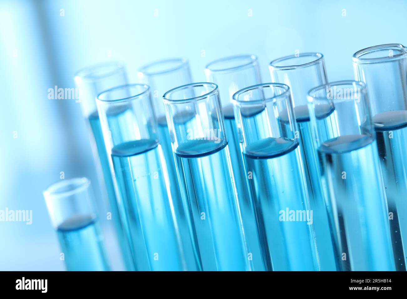 Test tubes with light blue liquid in laboratory, closeup Stock Photo ...
