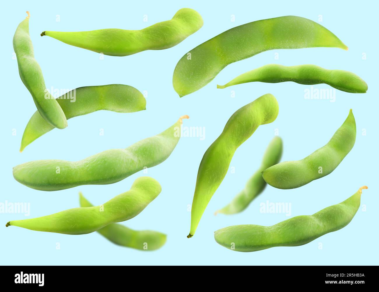Delicious cooked soy pods falling on light blue background. Edamame ... Delicious cooked soy pods falling on light blue background. Edamame ...