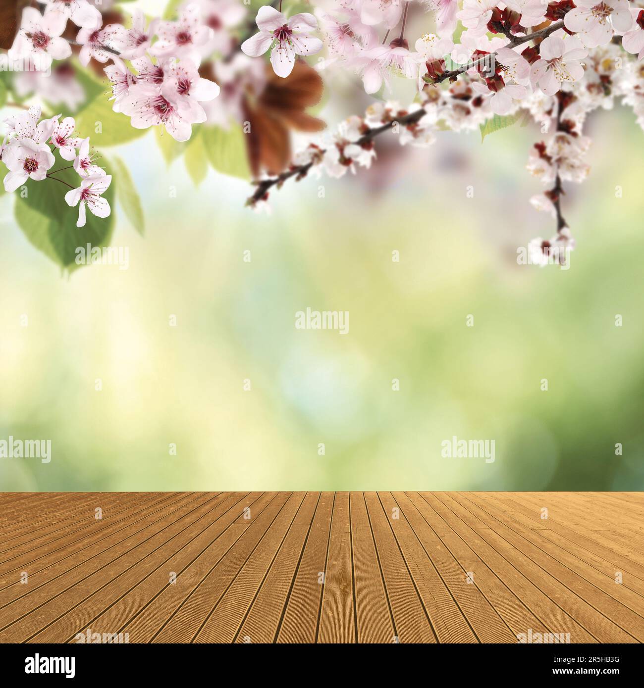Spring tree branches with beautiful flowers over empty wooden surface ...