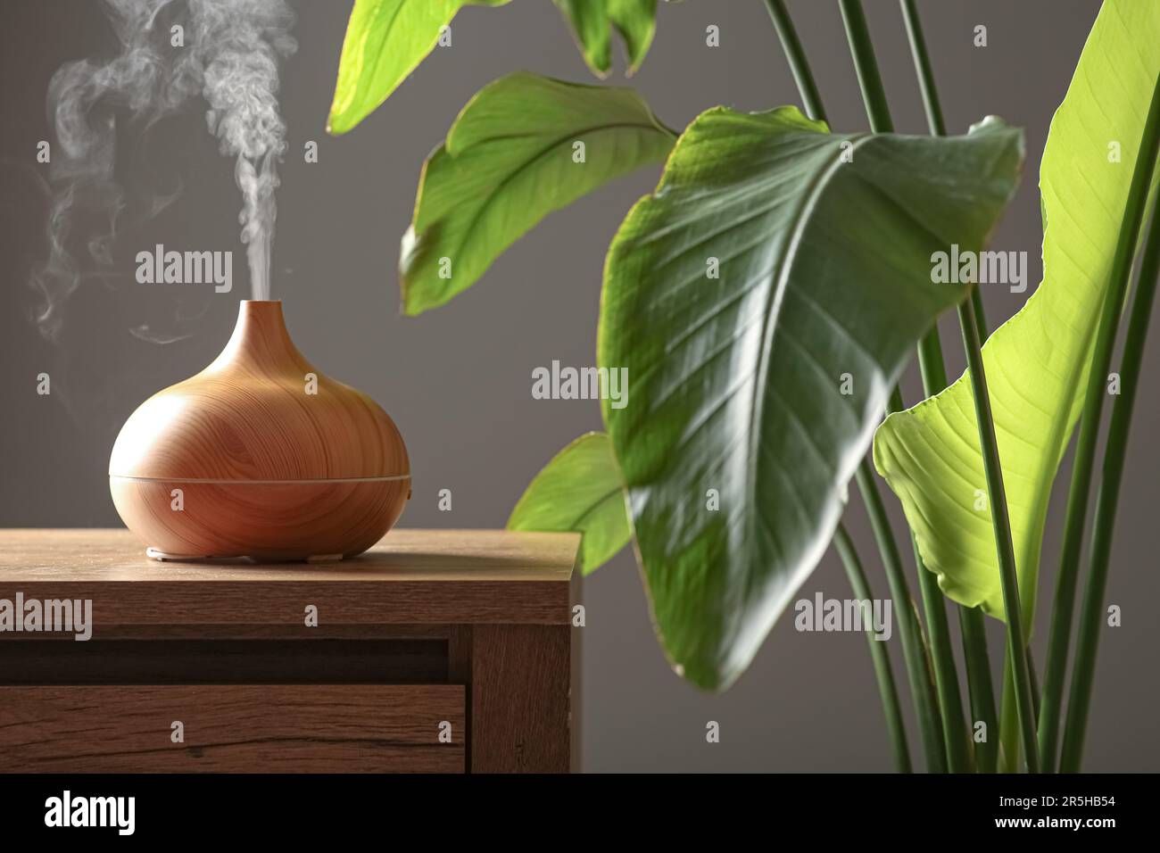 Air humidifier on chest of drawers near green houseplant against grey ...