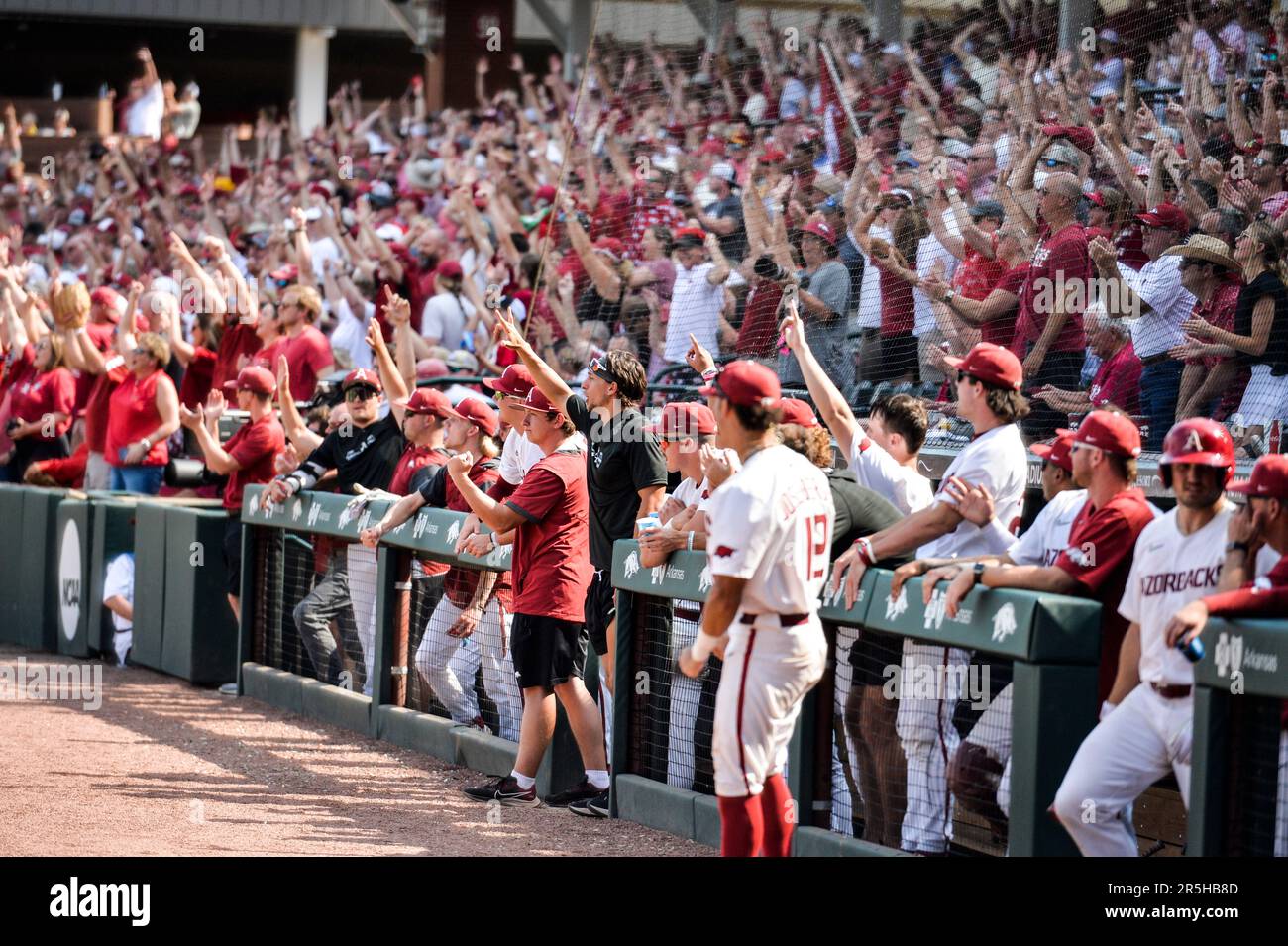 Fayetteville, Arkansas, USA. 2nd June, 2023. The Razorback dugout and ...