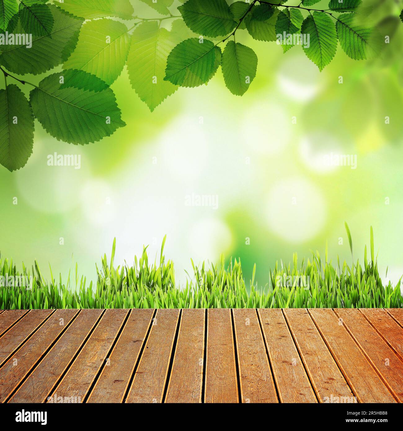 Spring season. Empty wooden surface under tree branches near fresh ...