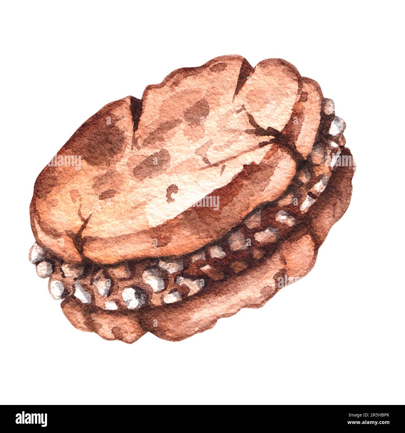 Shortbread cookies with nuts on a white background. Cakes illustration ...