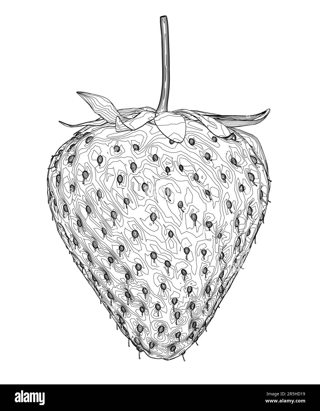 Strawberry outline from black lines isolated on white background. 3D ...
