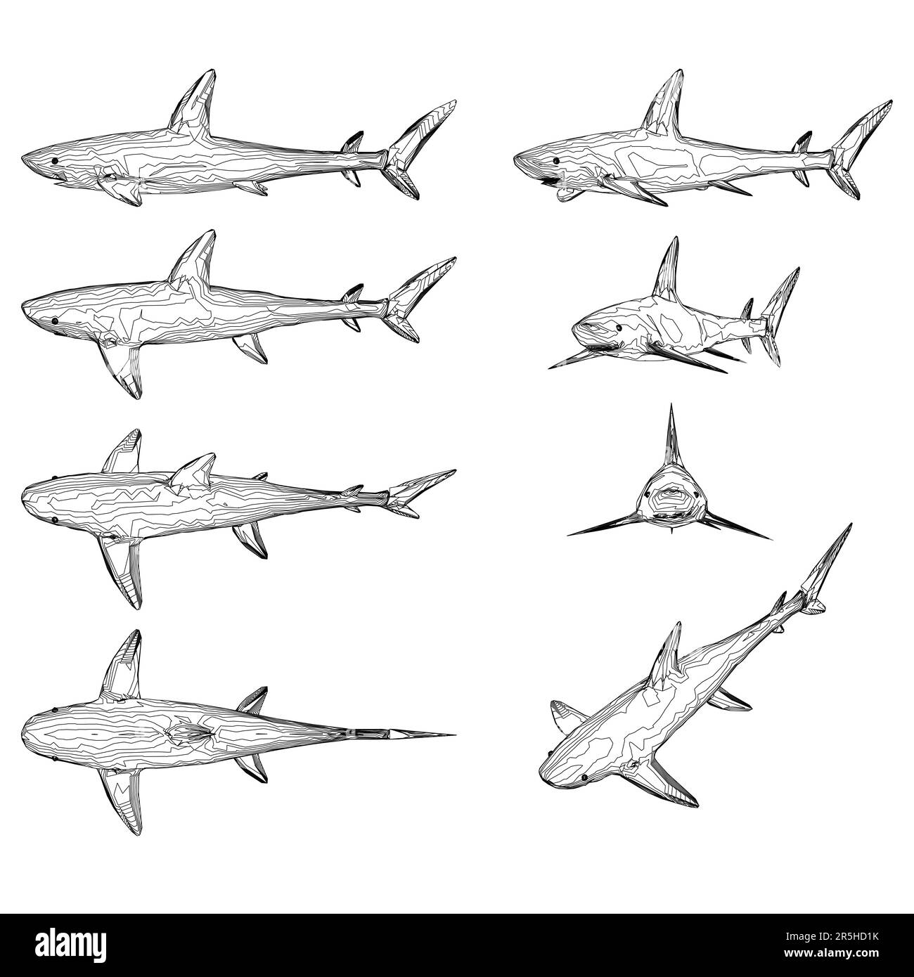 Set with contours of a shark in different positions from black lines ...