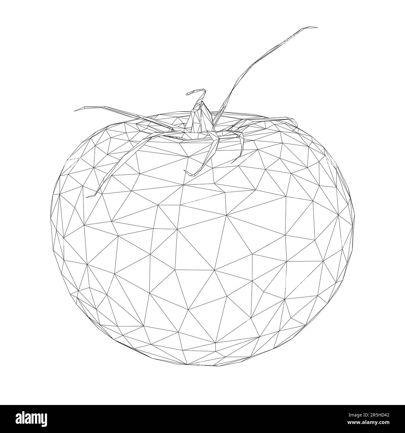 Low poly tomato wireframe from black lines isolated on white background ...