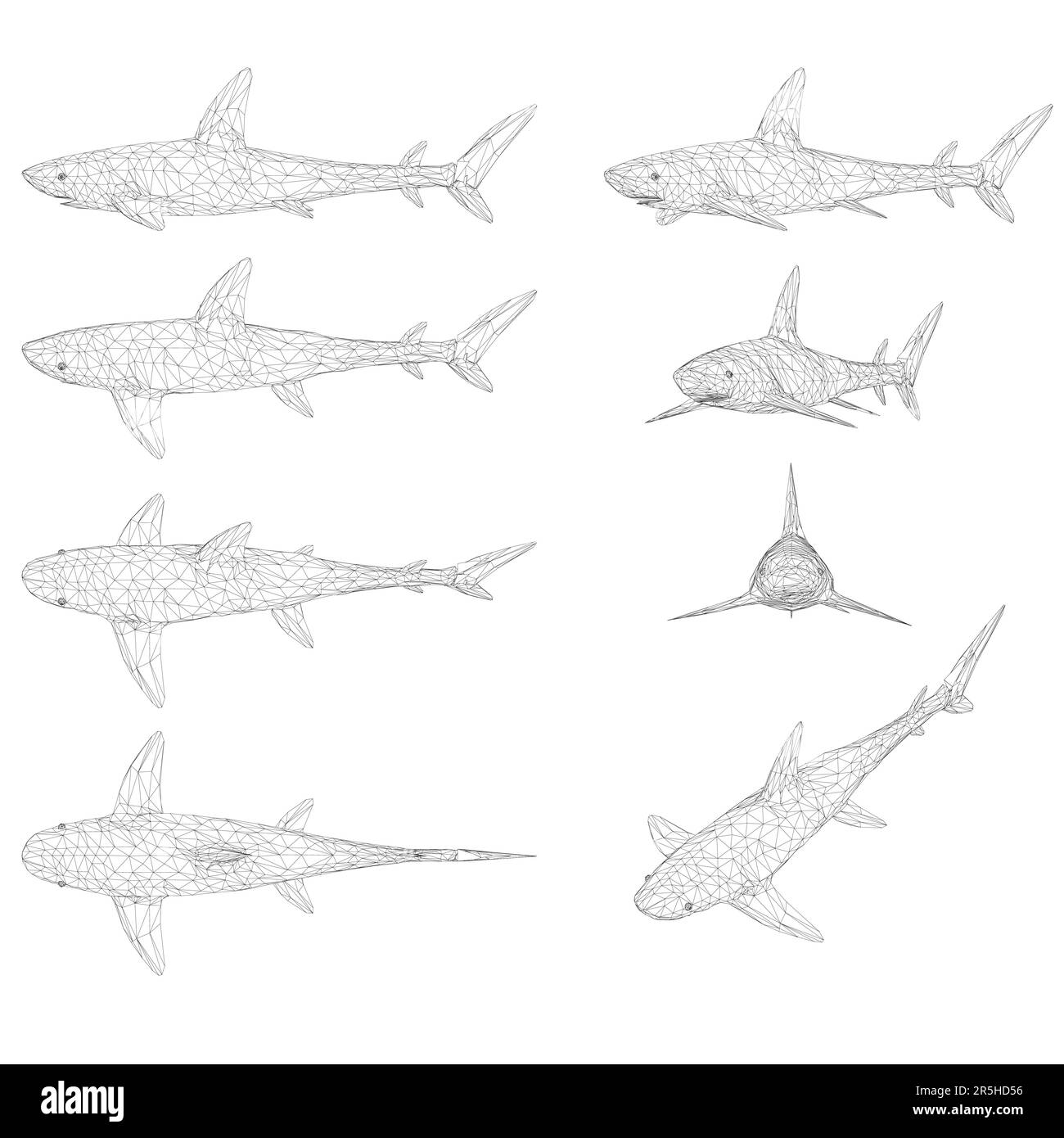 Set with a wireframe of a shark in different positions from black lines ...