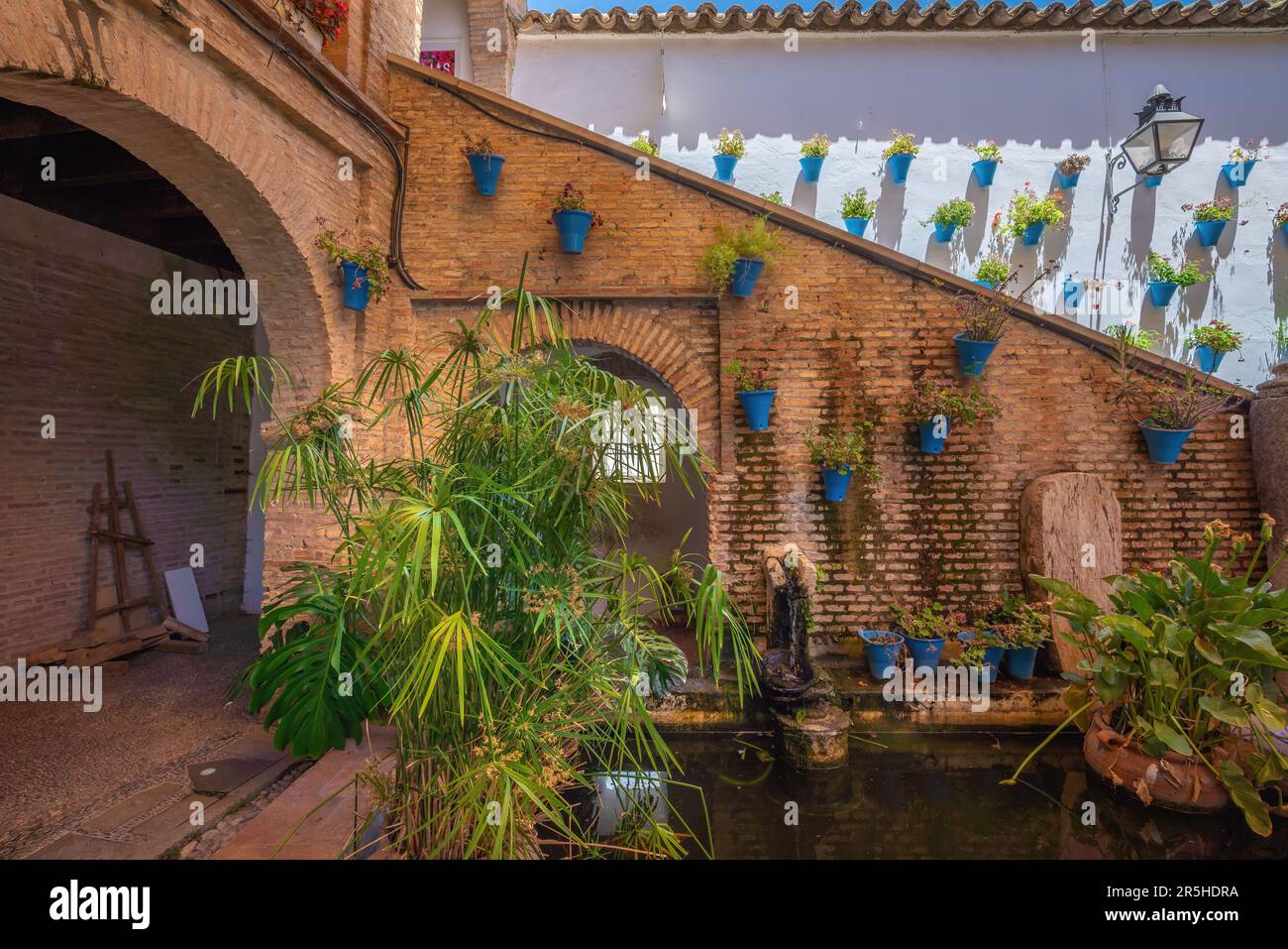 Zoco municipal hi-res stock photography and images - Alamy