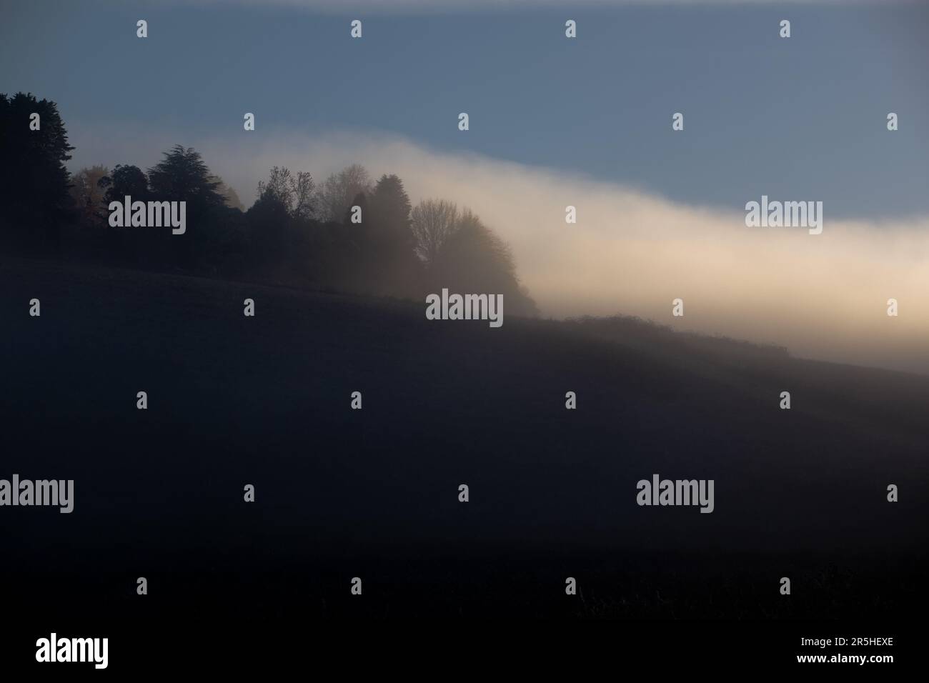 An empty field in shadow, with a line of trees in the fog on a winter ...