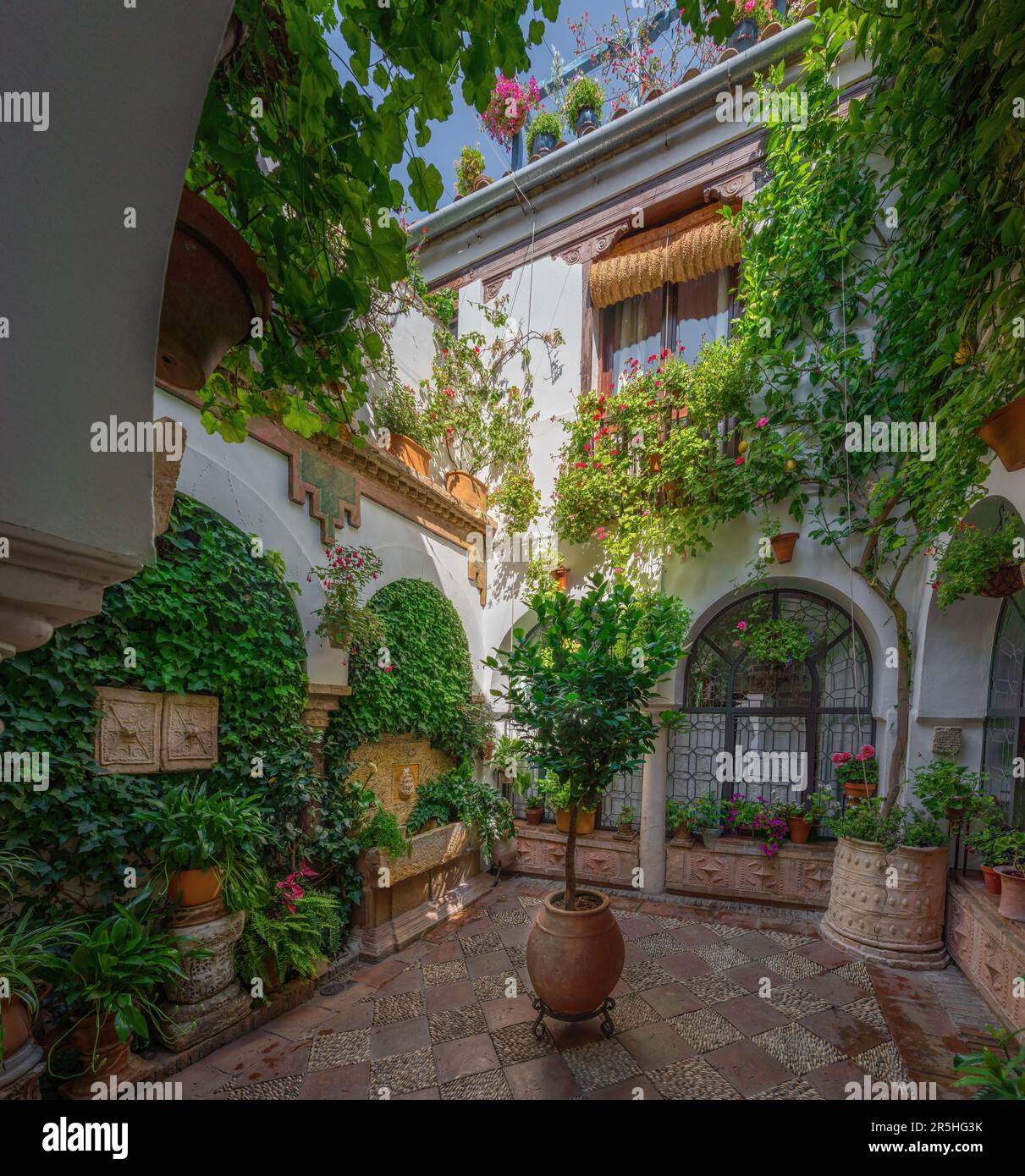 Traditional Courtyard at San Basilio - Cordoba, Andalusia, Spain Stock ...