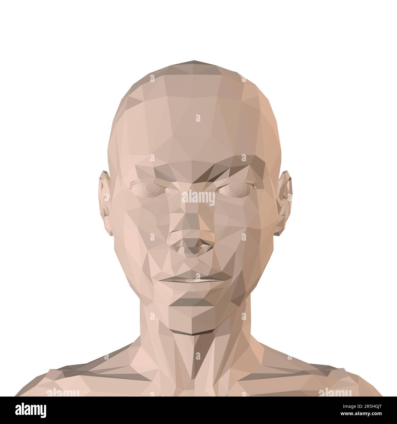 Low poly girl head isolated on white background. Front view. 3D. Vector ...