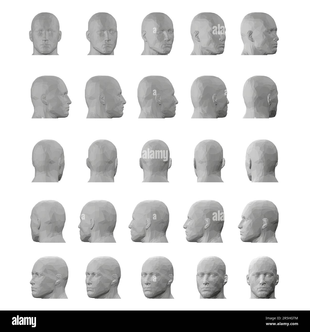 On the left side the male Stock Vector Images - Alamy