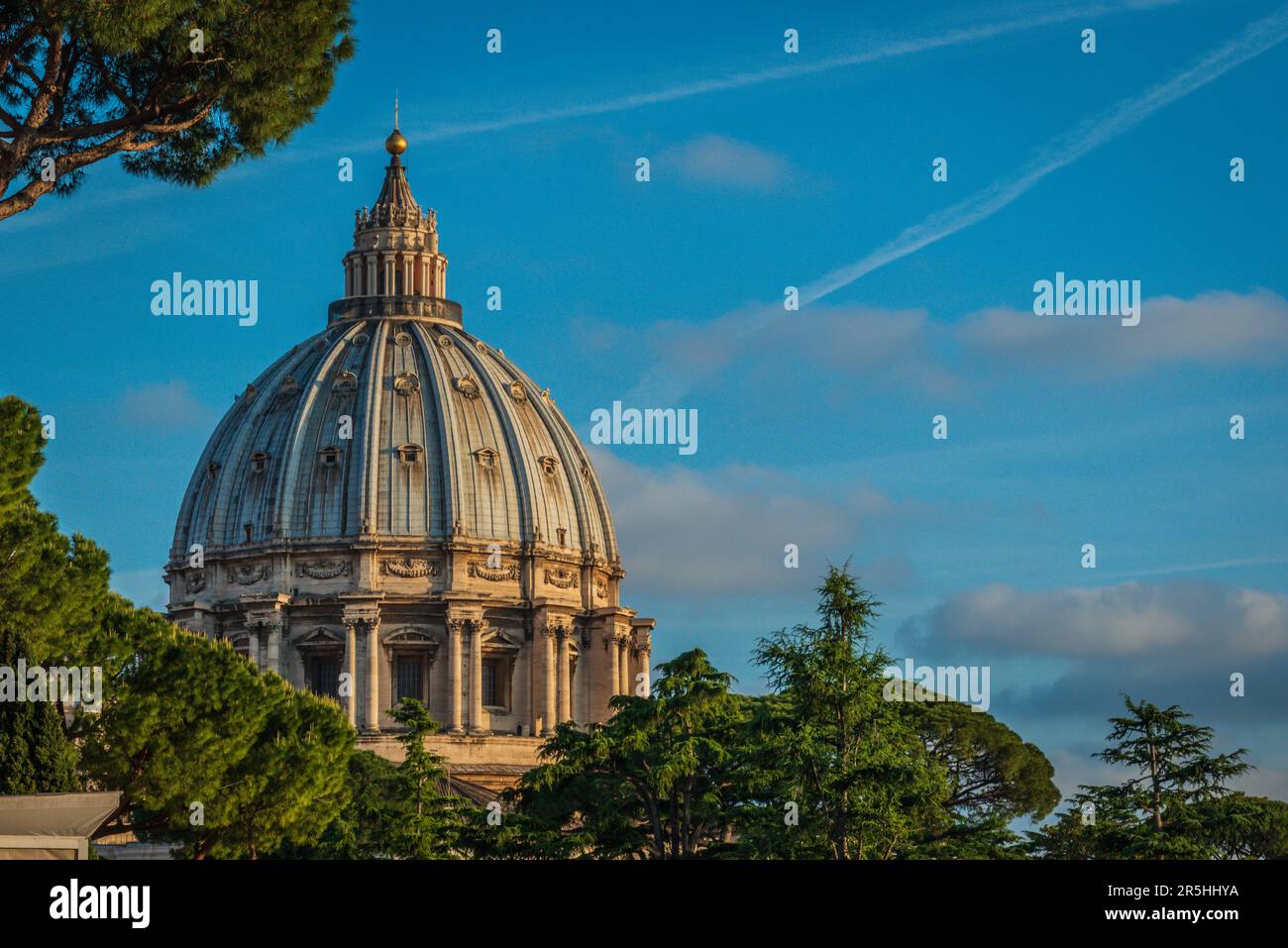Dome of Saint Peter's Basilica, Vatican, with Blue Sky Framed by Trees ...