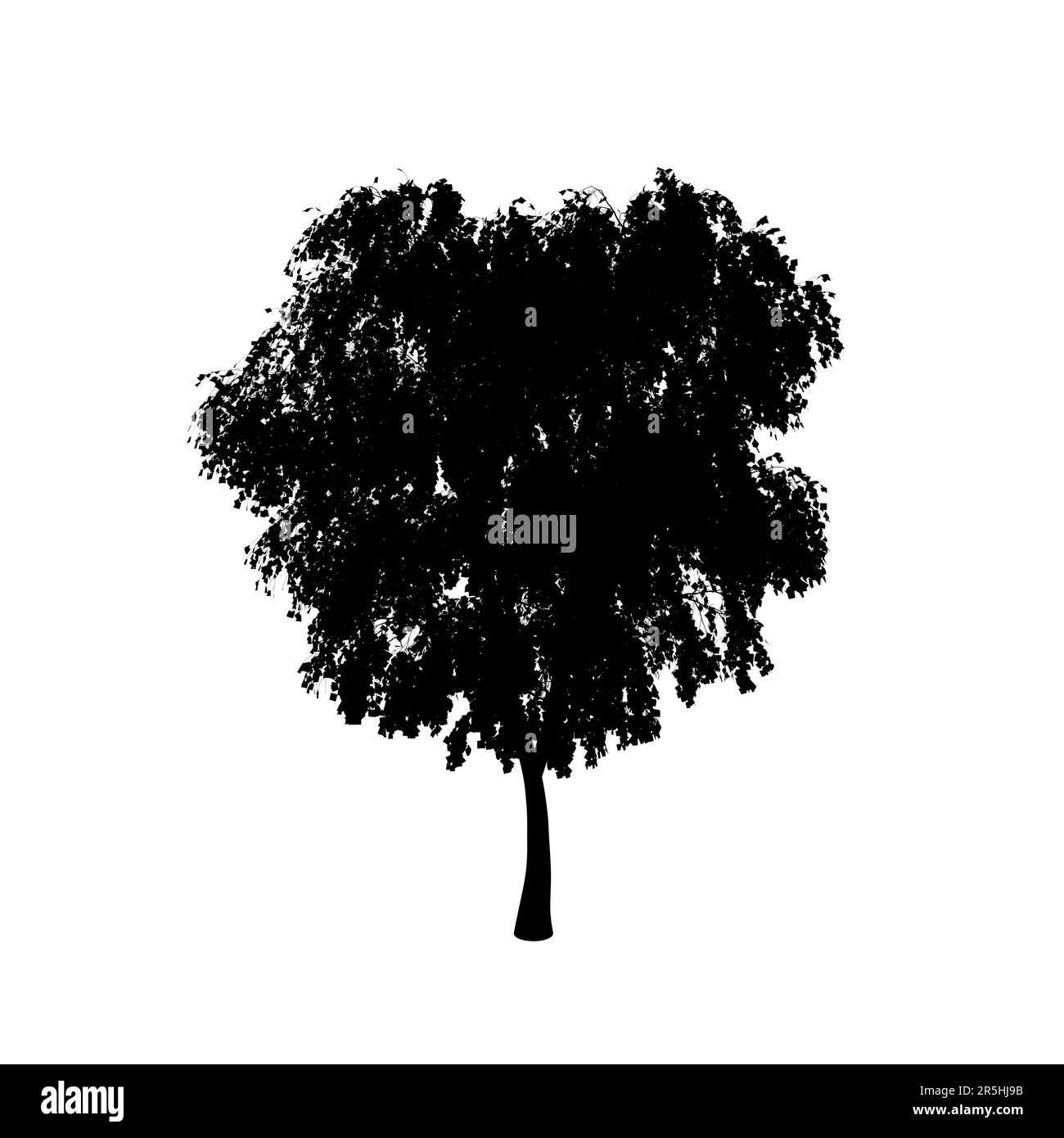 Detailed tree silhouette isolated on white background. Vector ...