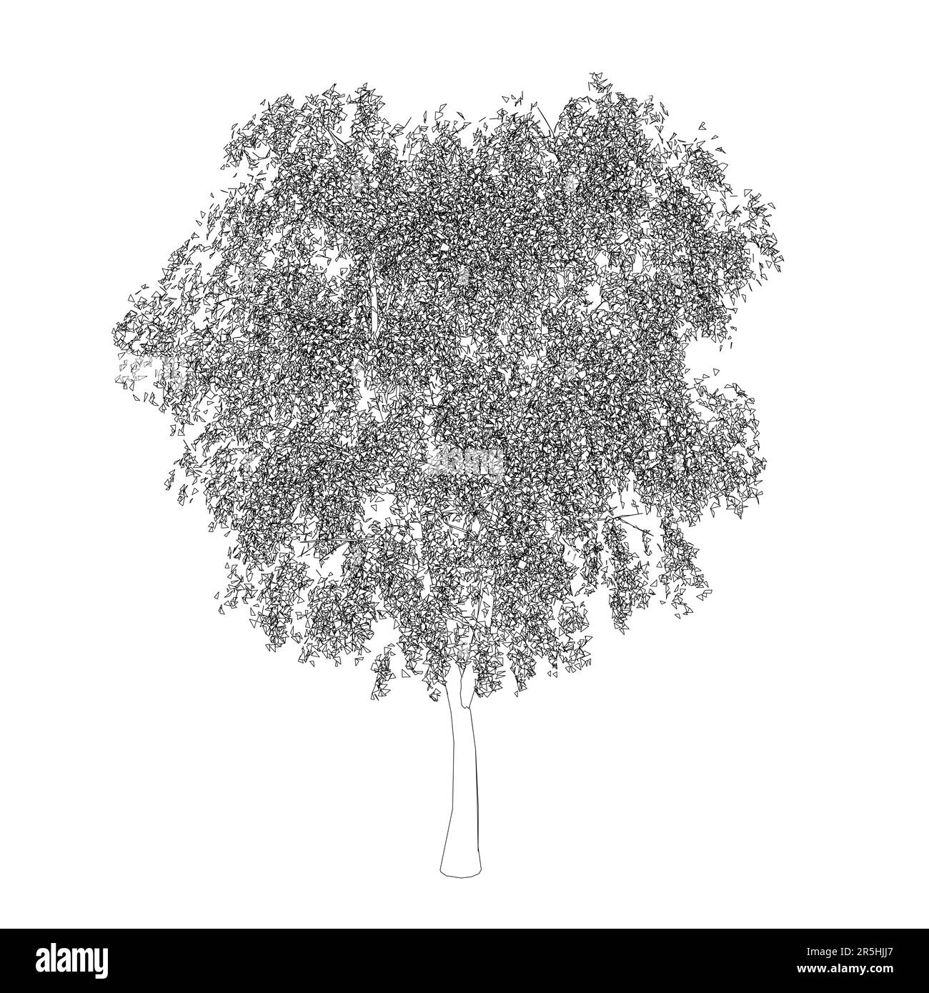 Outline of a detailed tree from black lines isolated on a white ...