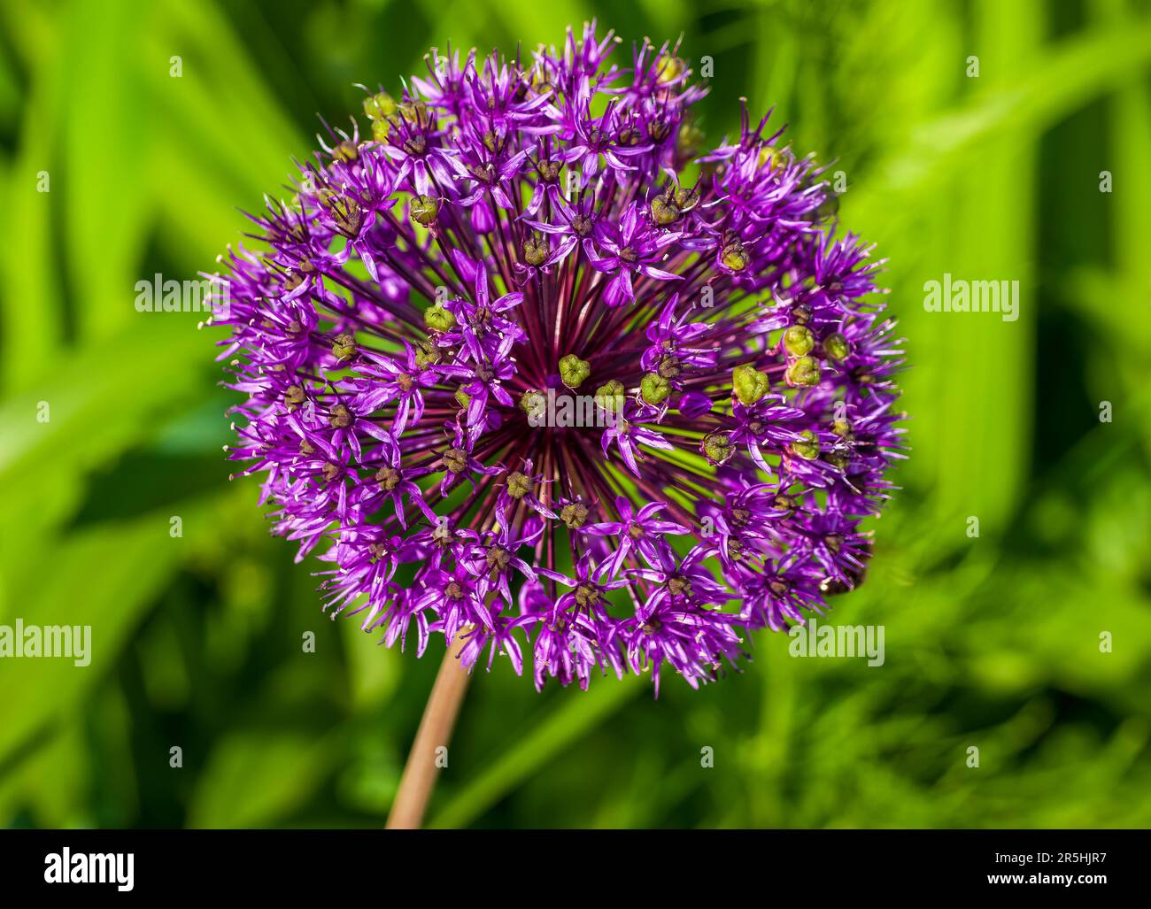 Star tower hill hi-res stock photography and images - Alamy