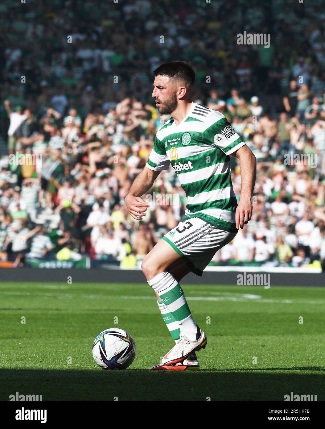 Thistle greg hi-res stock photography and images - Alamy