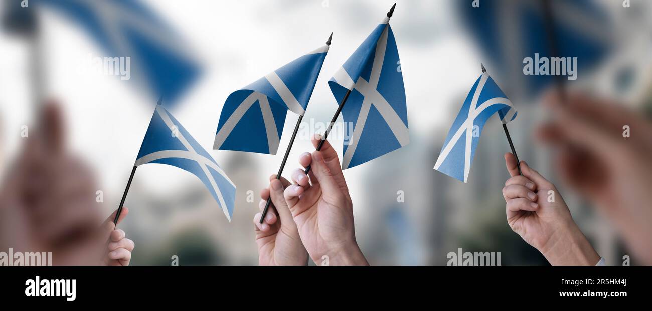A group of people holding small flags of the Scotland in their hands ...