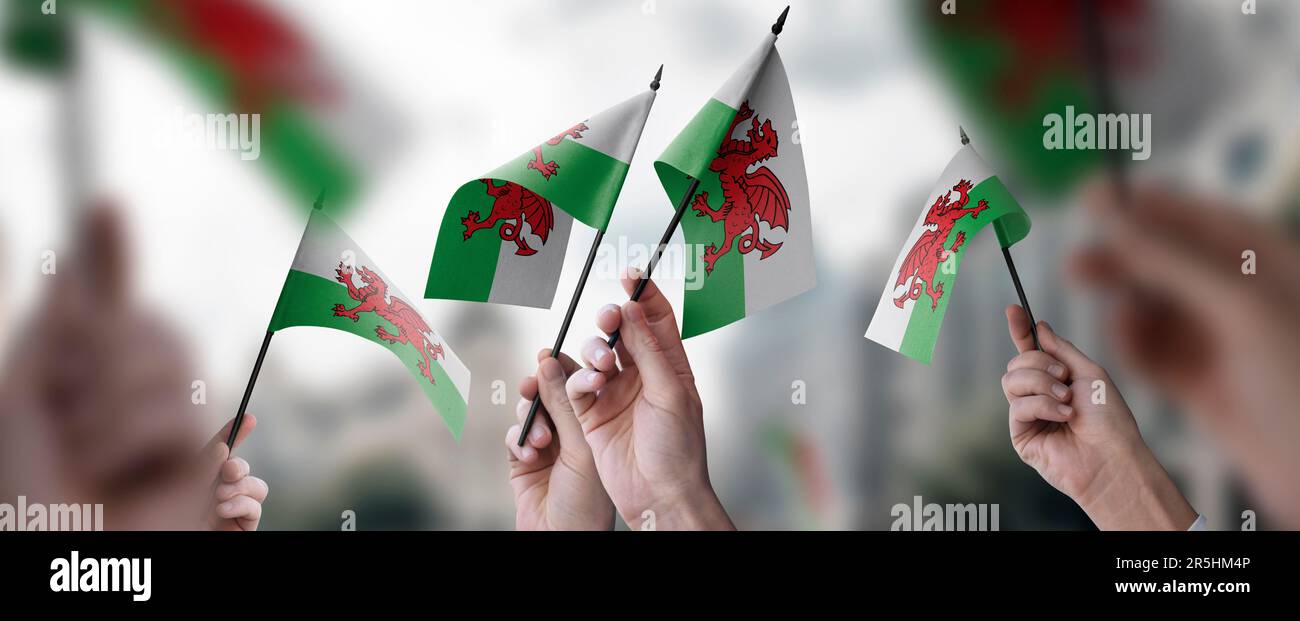 A group of people holding small flags of the Wales in their hands Stock ...