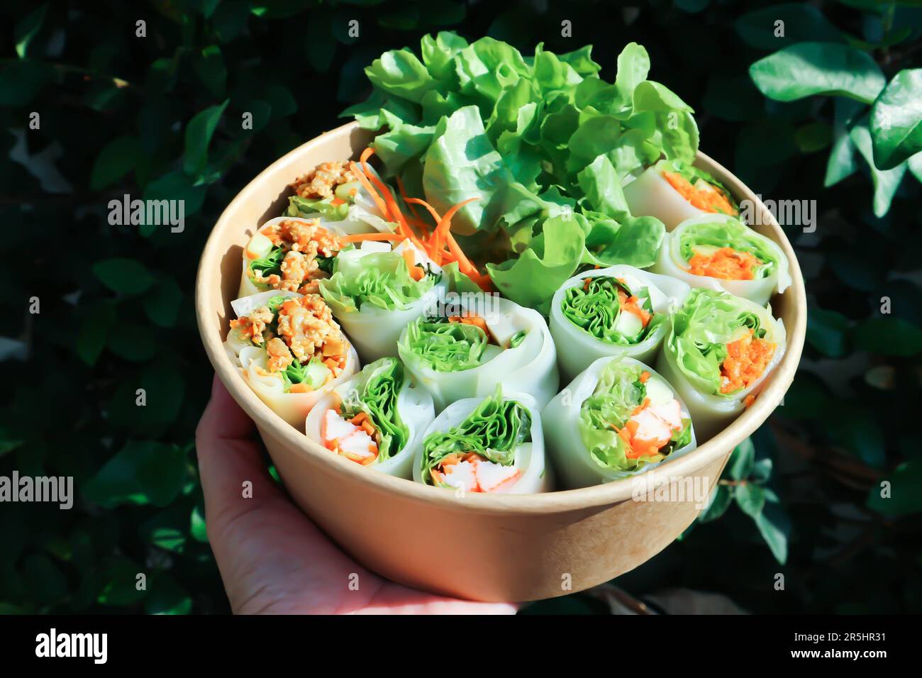 vegetable rolls or noodle rolls or rice noodle rolls or Vietnamese ...
