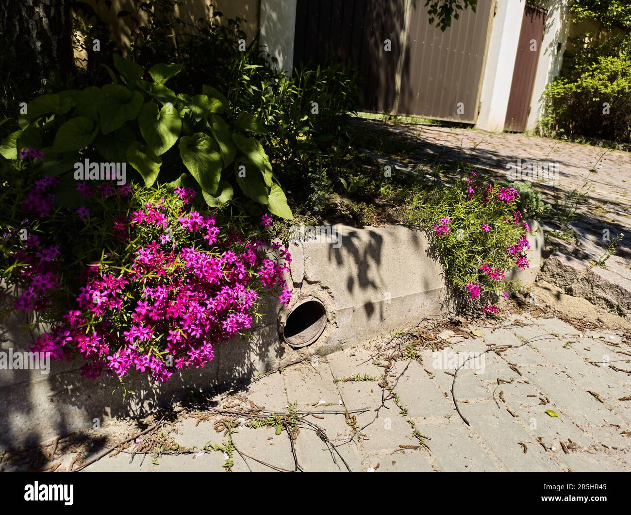 Border fence along edge hi-res stock photography and images - Alamy