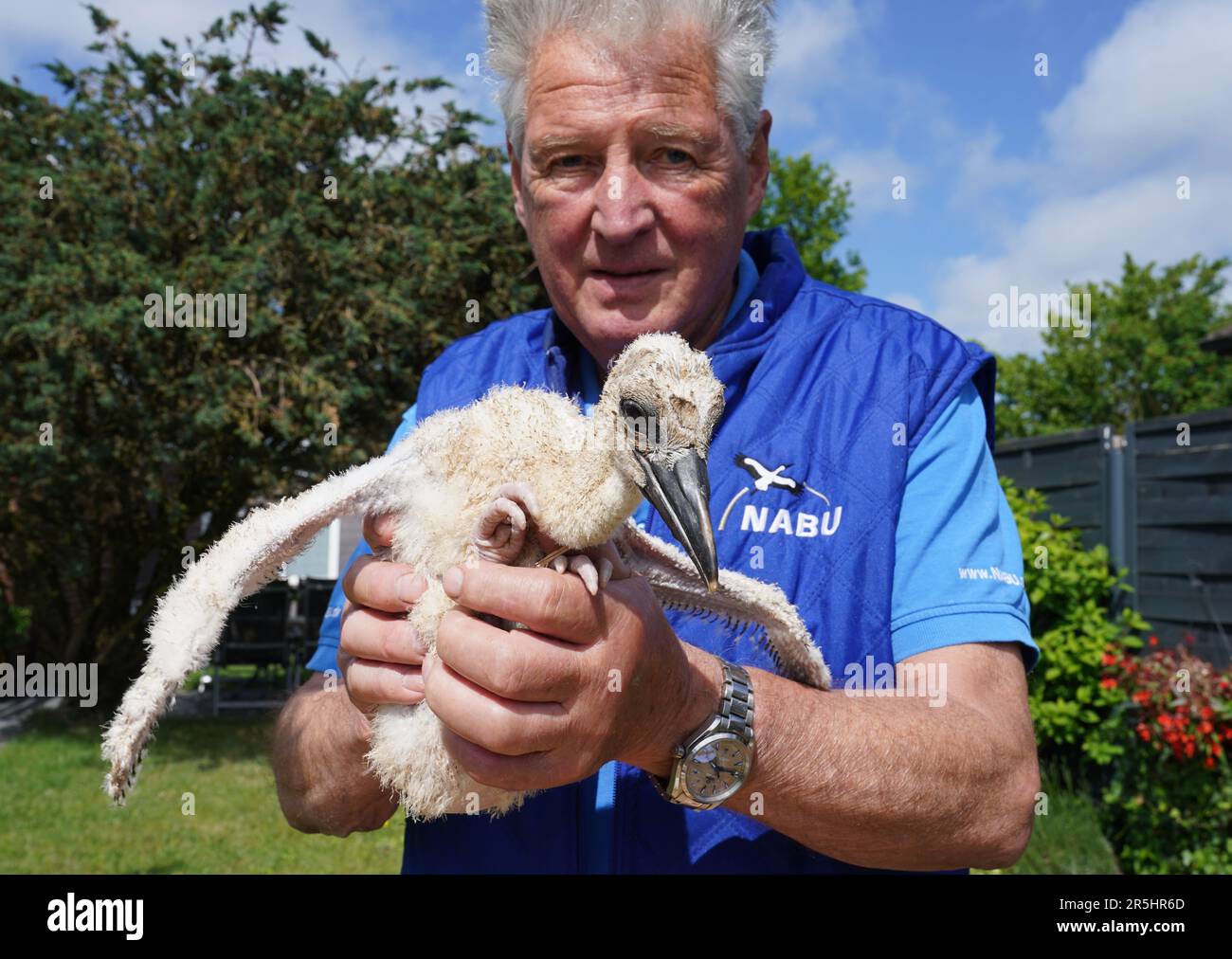 Raised figures animals hi-res stock photography and images - Alamy