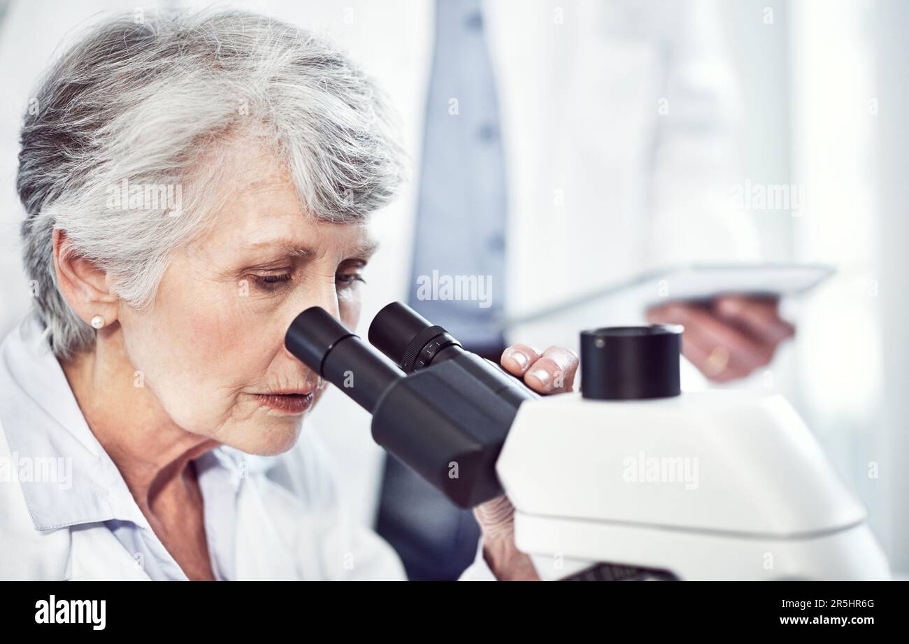 There seems to be a change or two. a focused elderly female scientist ...