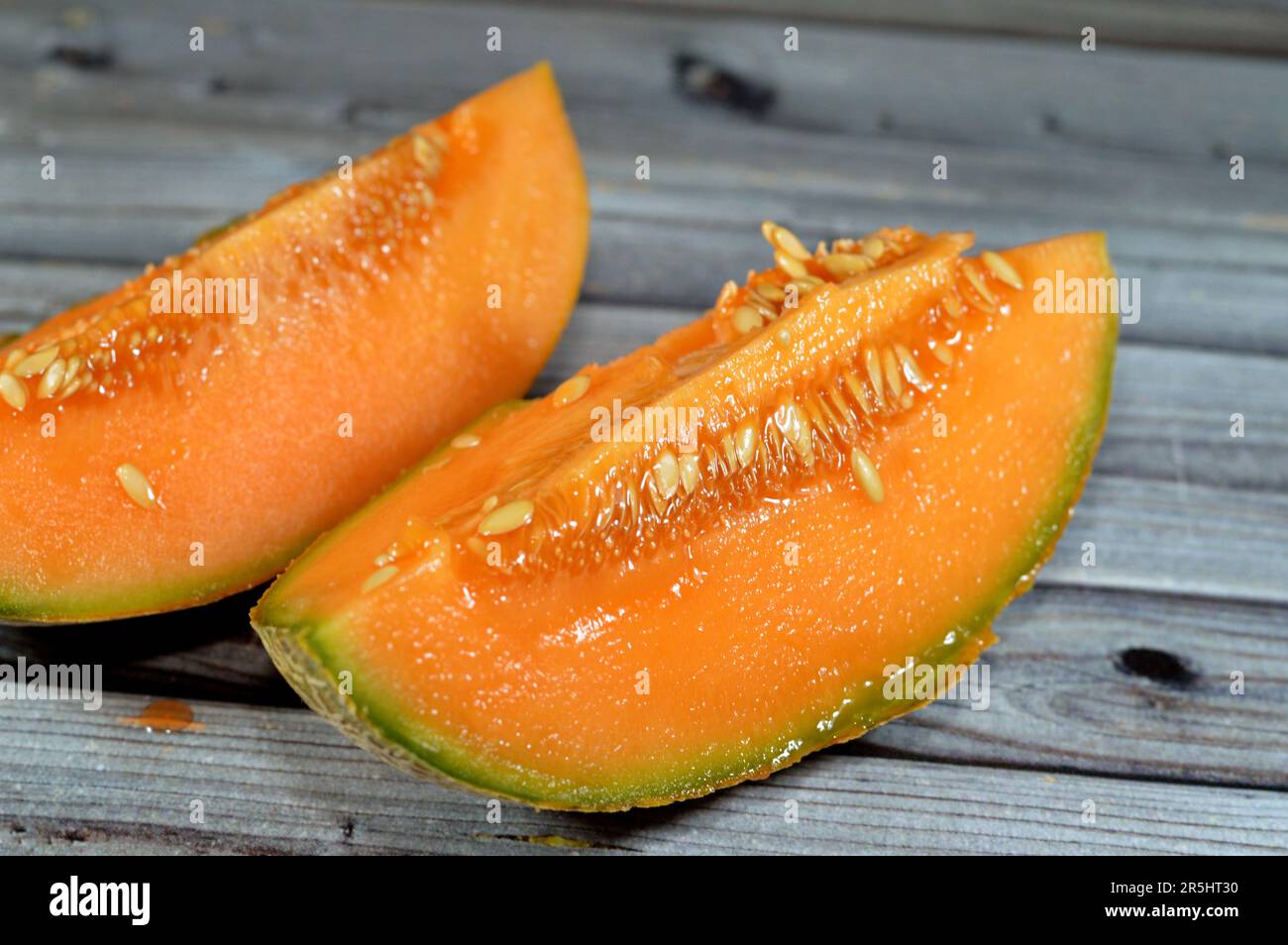 Muskmelon, Cucumis melo or melon, a species of Cucumis that has been ...