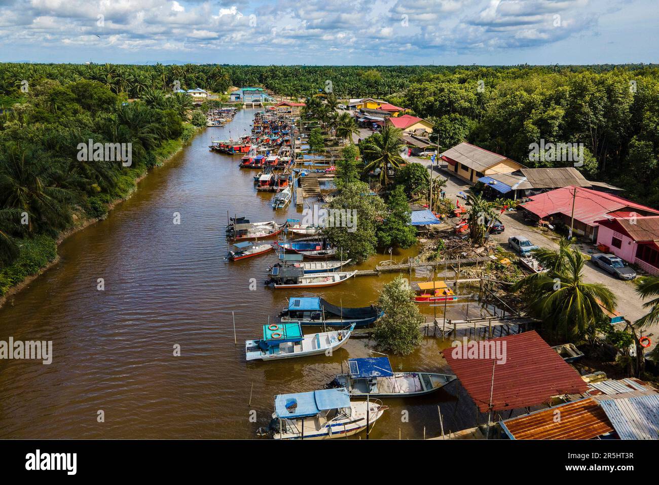 Fish of selangor hi-res stock photography and images - Alamy
