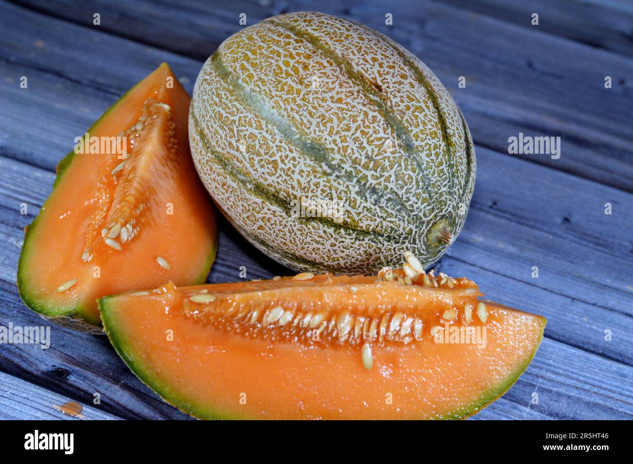 Muskmelon, Cucumis melo or melon, a species of Cucumis that has been ...