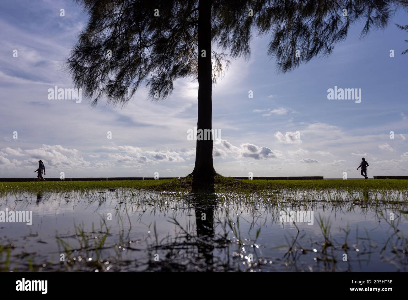 Kuala Selangor located at Selangor, Malaysia Stock Photo - Alamy