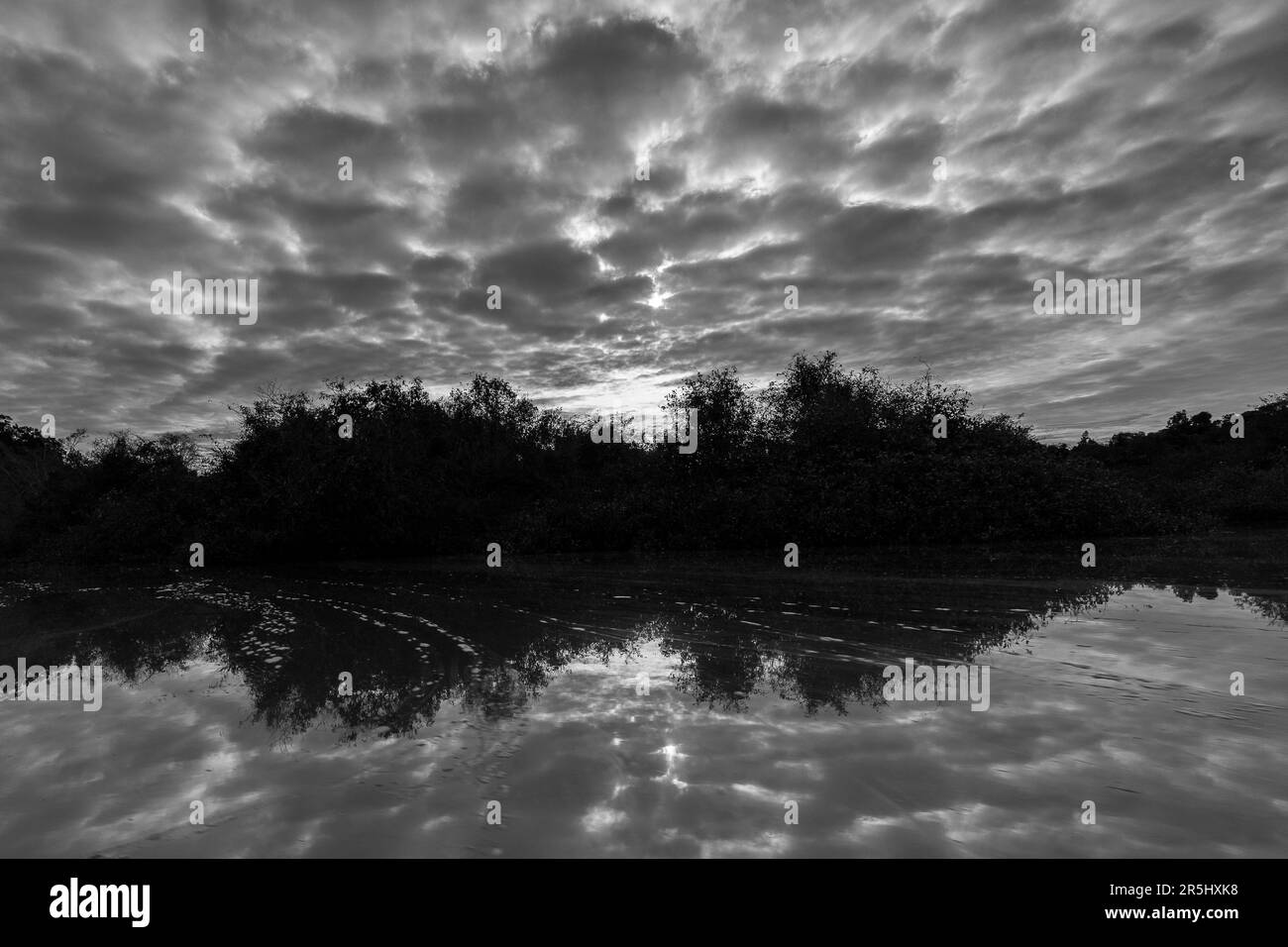 Loagan Bunut National Park (Taman Negara Loagan Bunut Stock Photo - Alamy