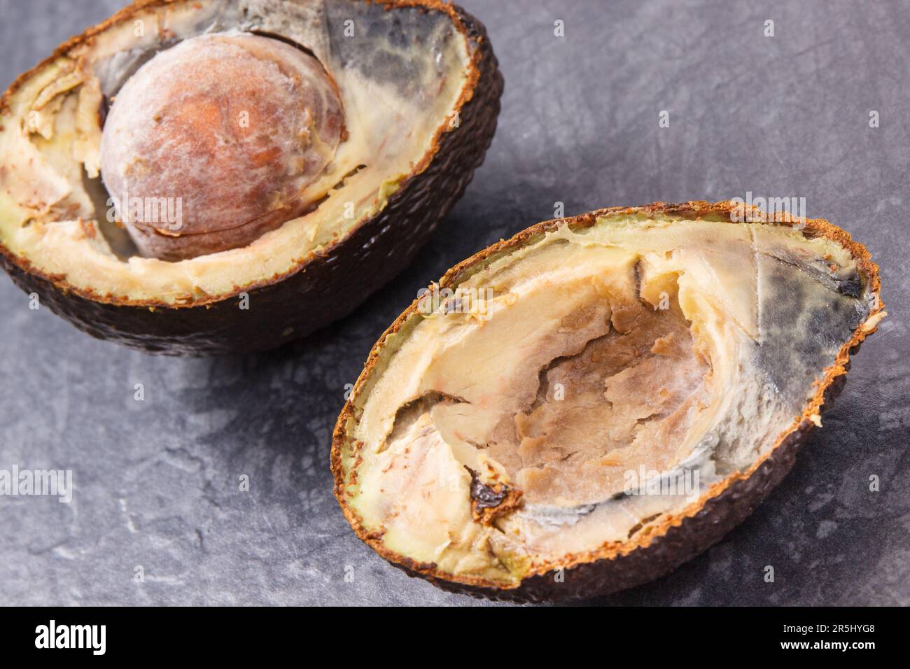 Two halves of an avocado with mold on dark wooden background. Unhealthy ...