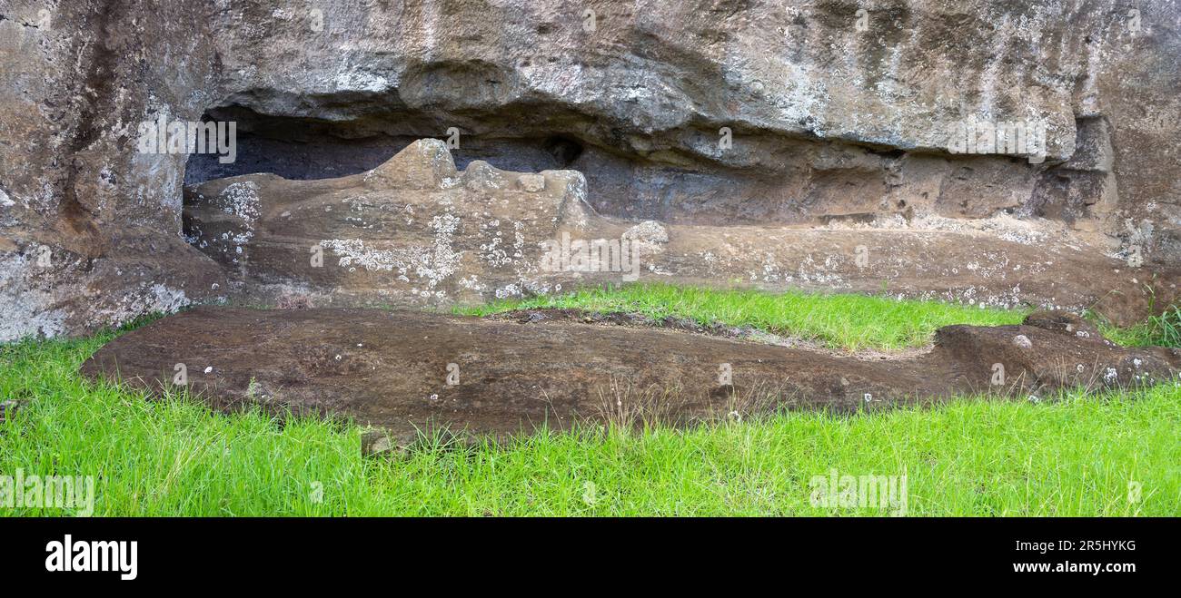 Old Unfinished Moai Statue Ruin Close Up lying on the Ground in Grass ...